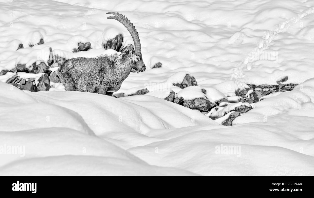 Advance peak hi-res stock photography and images - Alamy