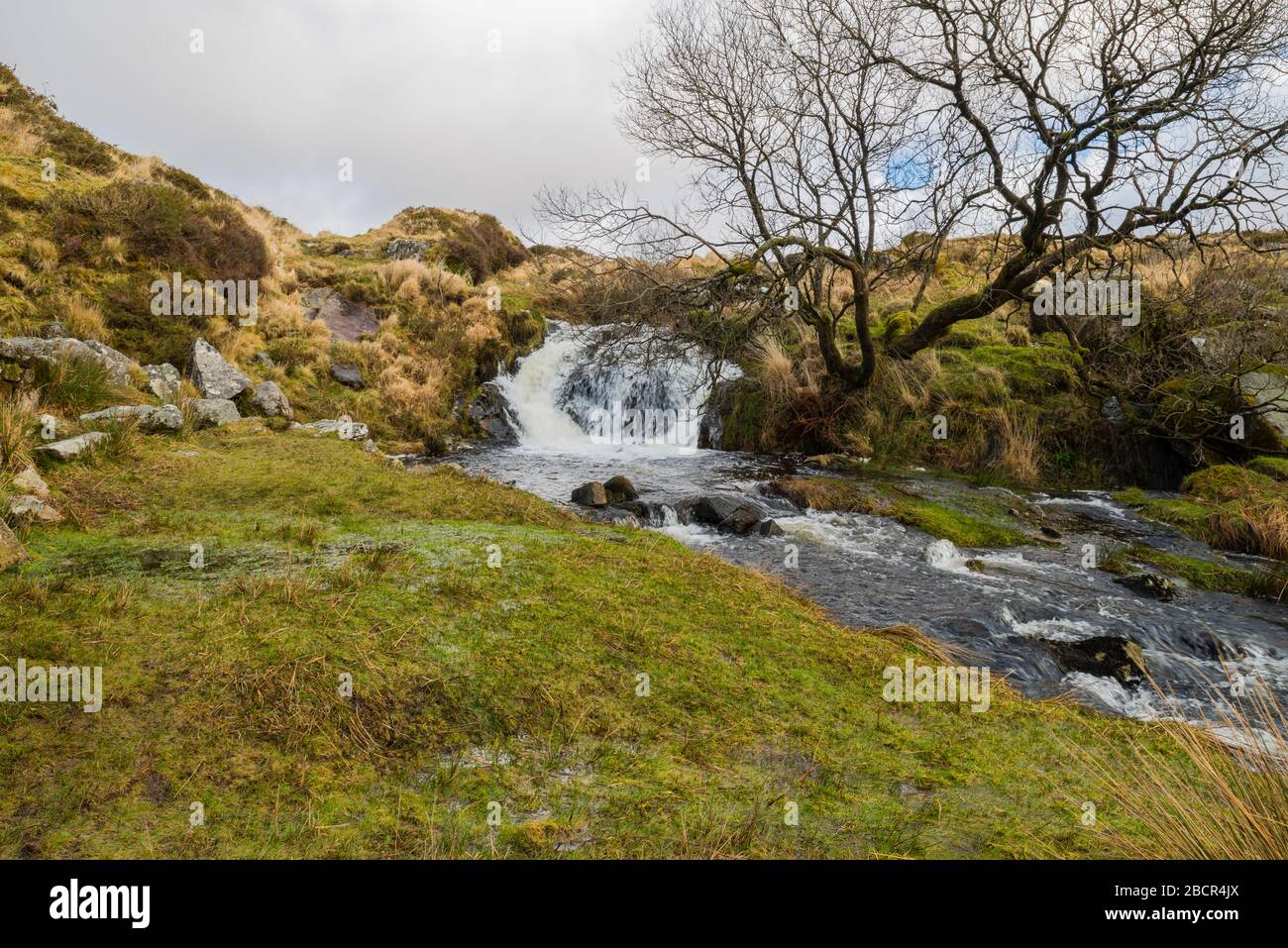 Devon activities hi-res stock photography and images - Alamy