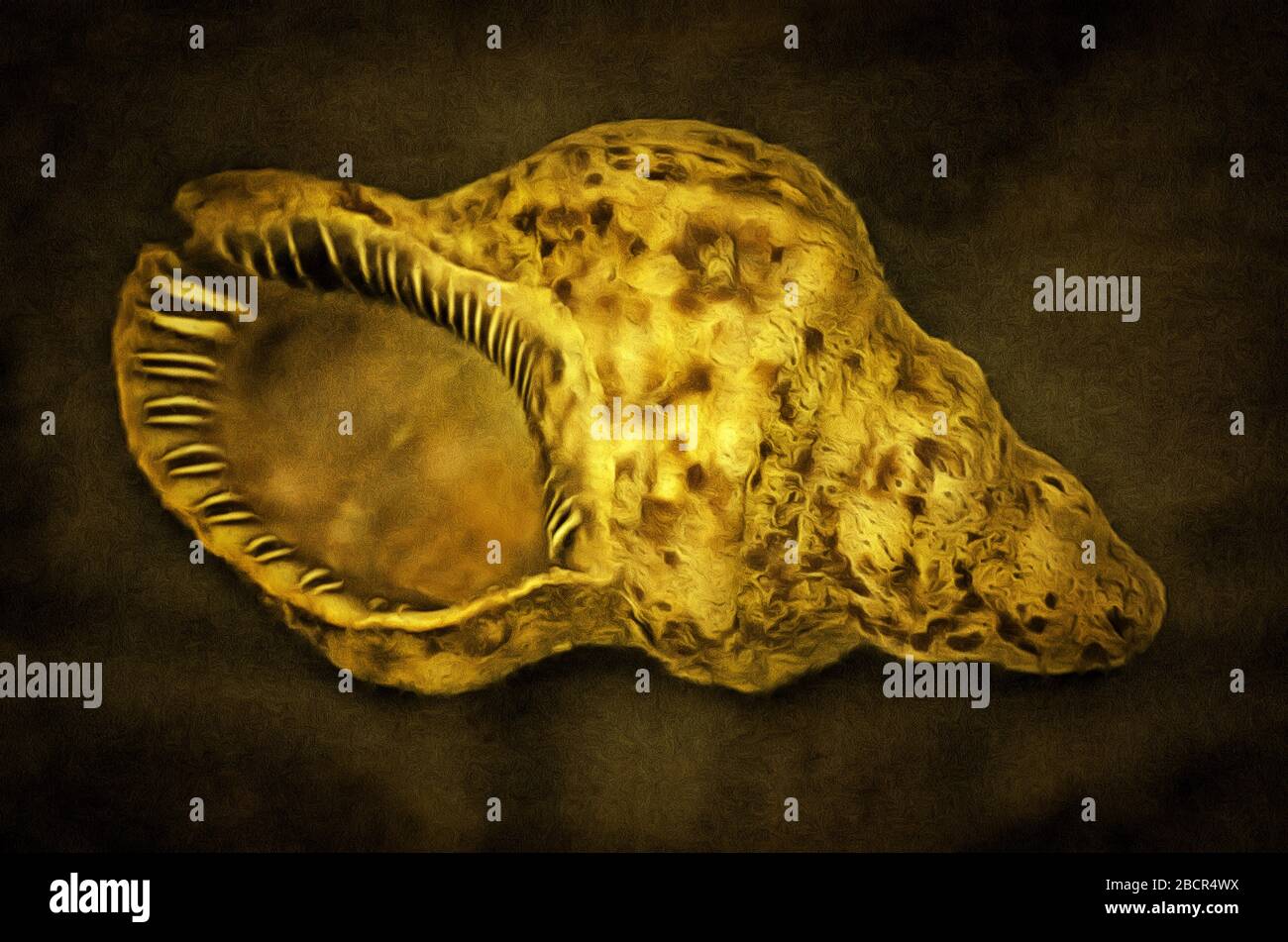 Charon varitsata hi-res stock photography and images - Alamy