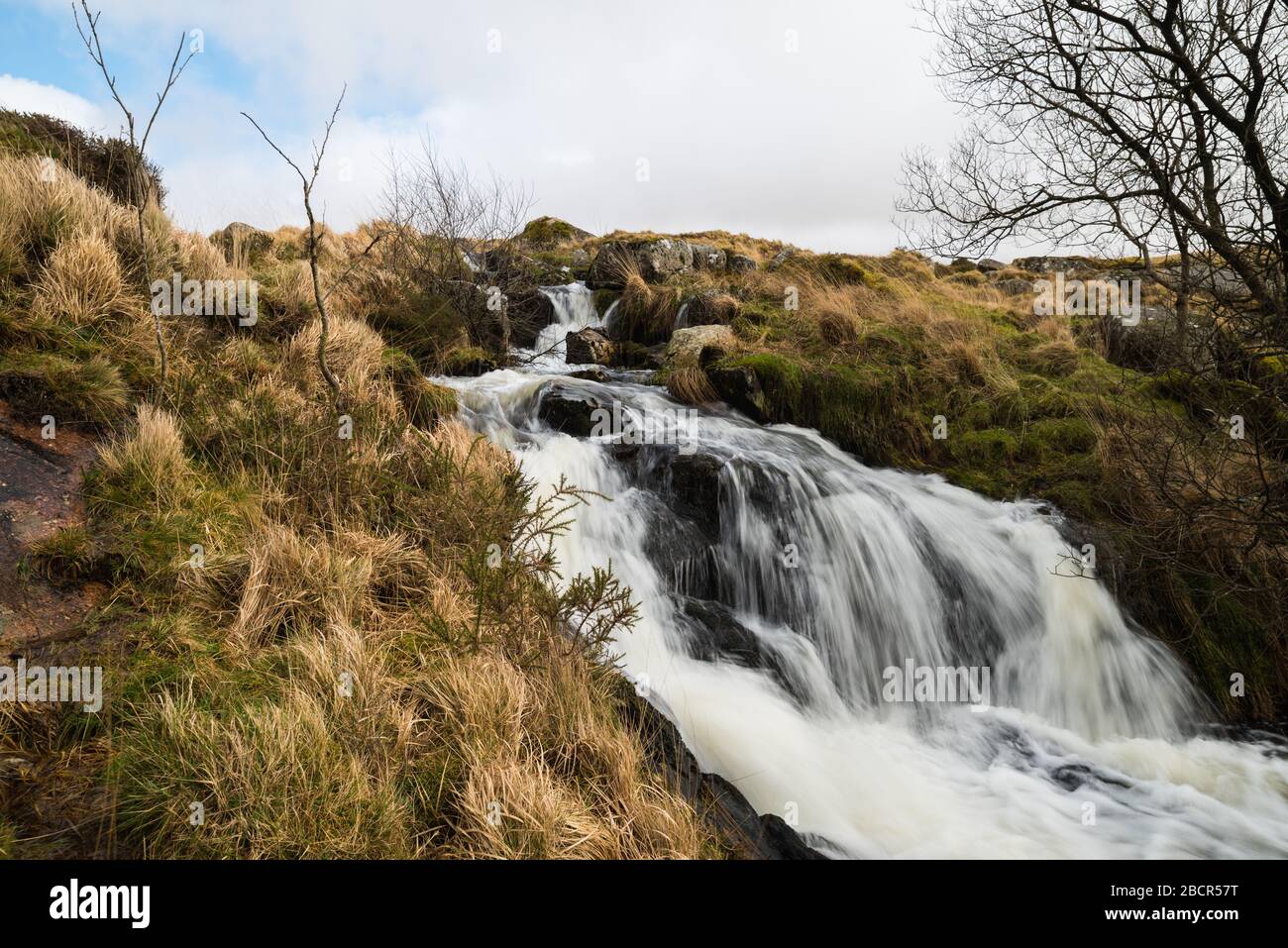 Meavy devon hi-res stock photography and images - Alamy