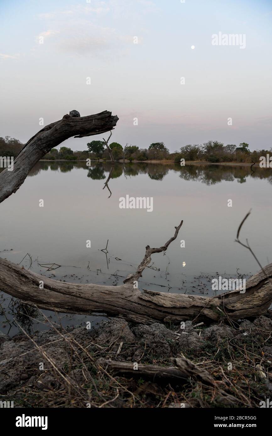 Africa, West Africa, Burkina Faso, Pô region, Nazinga national park ...