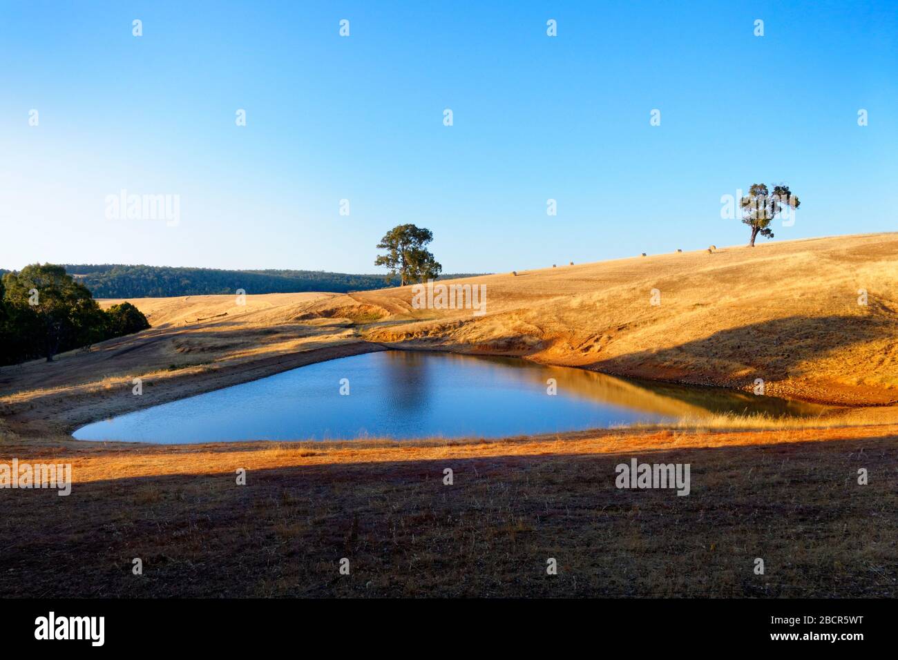 Man made dam or water hole on farmland, Western Australia Stock Photo ...