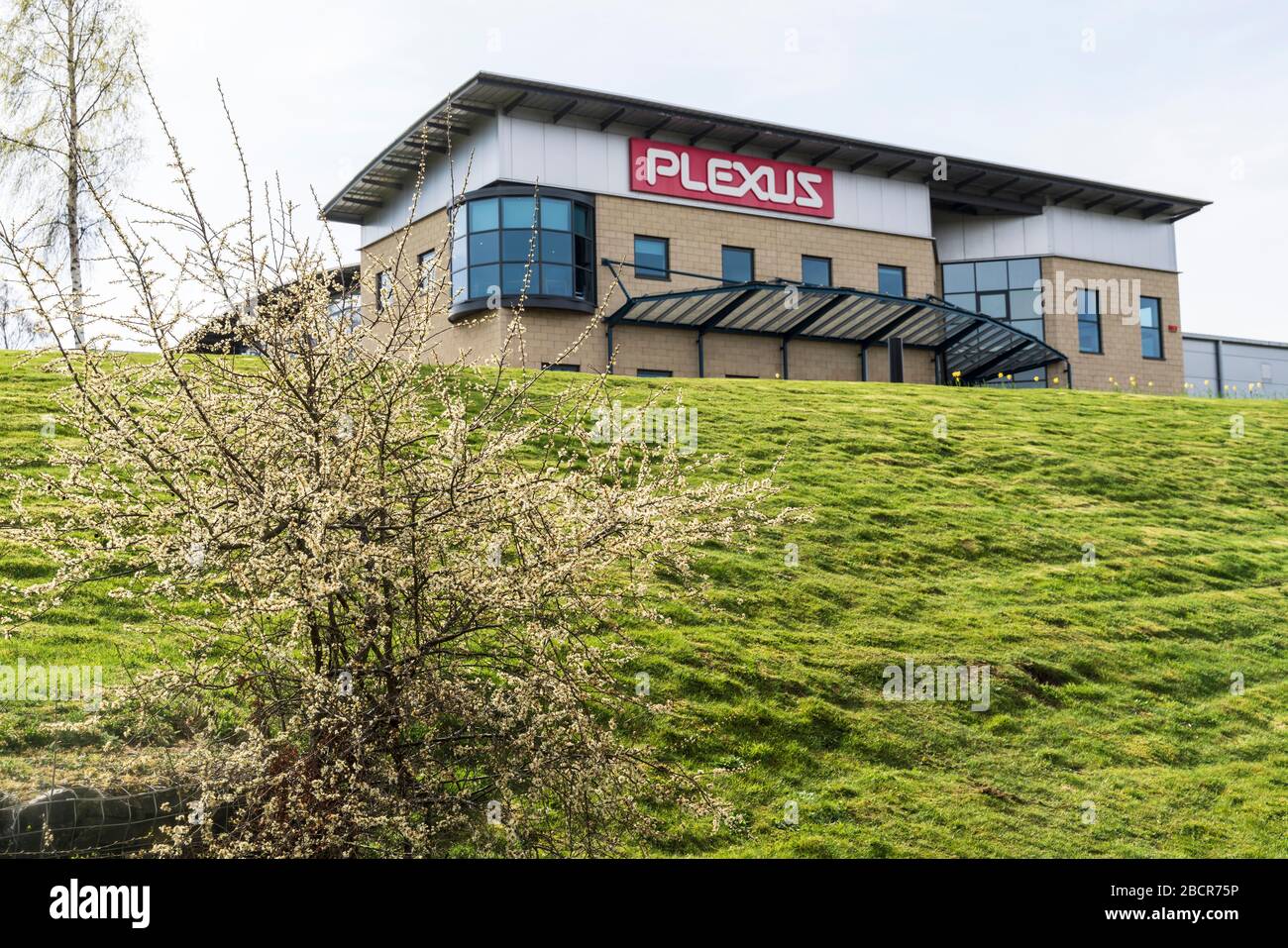 Plexus factory Kelso, Scottish Borders, where production started April ...