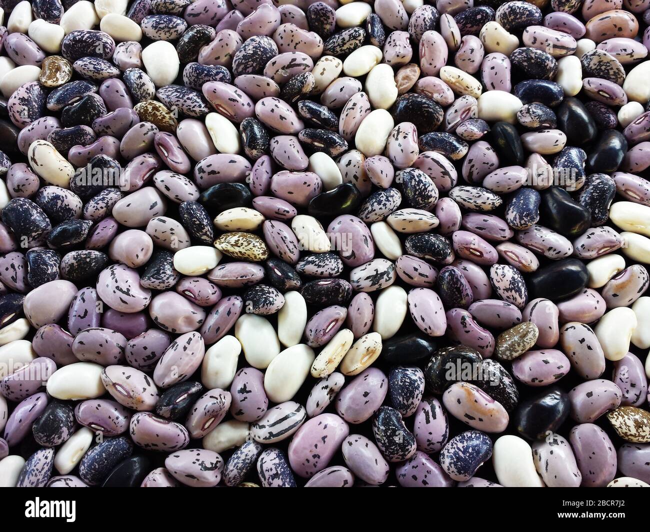 Colorful and spotted beans as background Stock Photo - Alamy