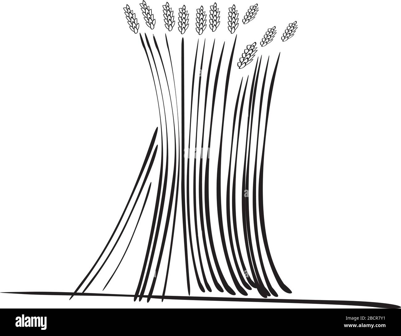 Grain sheaf Black and White Stock Photos & Images - Alamy