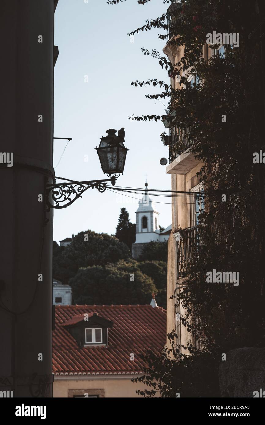 Birds sitting on a street lamp between two buildings Stock Photo - Alamy