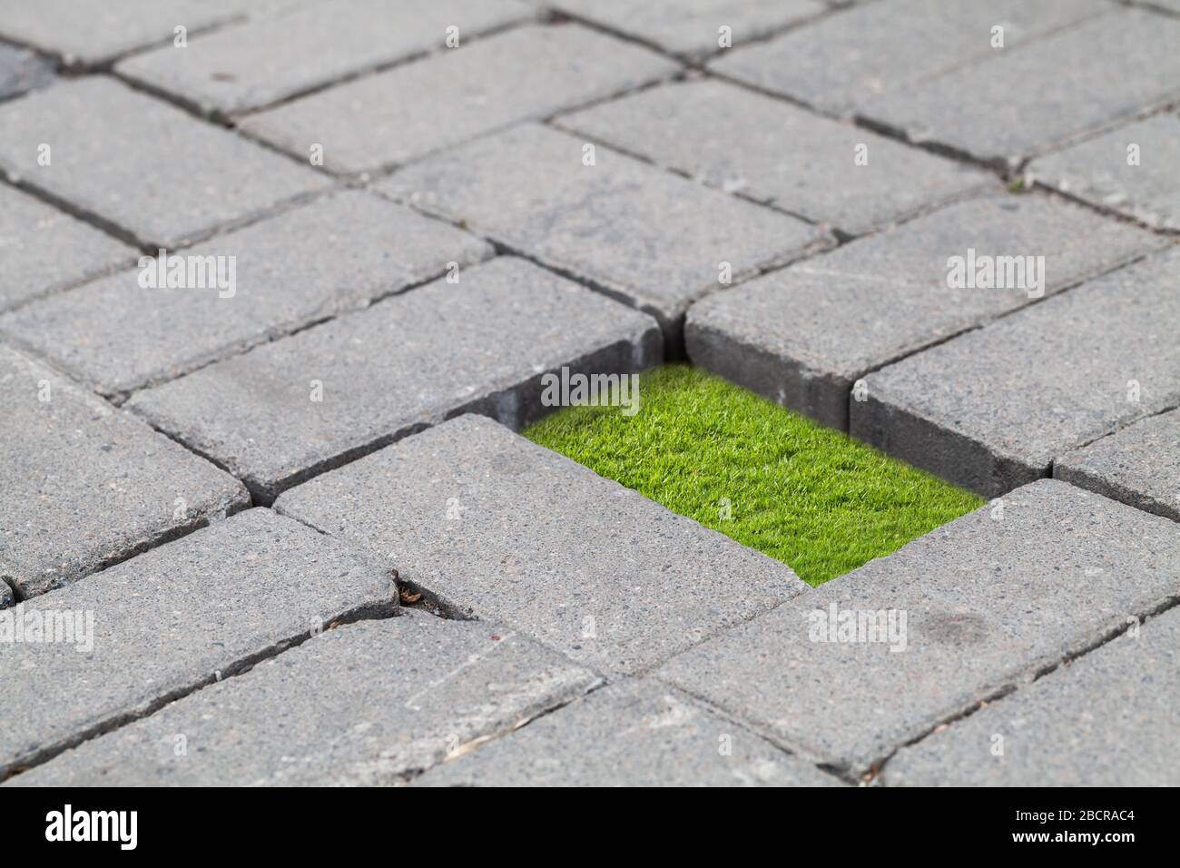 Grass paving block hi-res stock photography and images - Alamy
