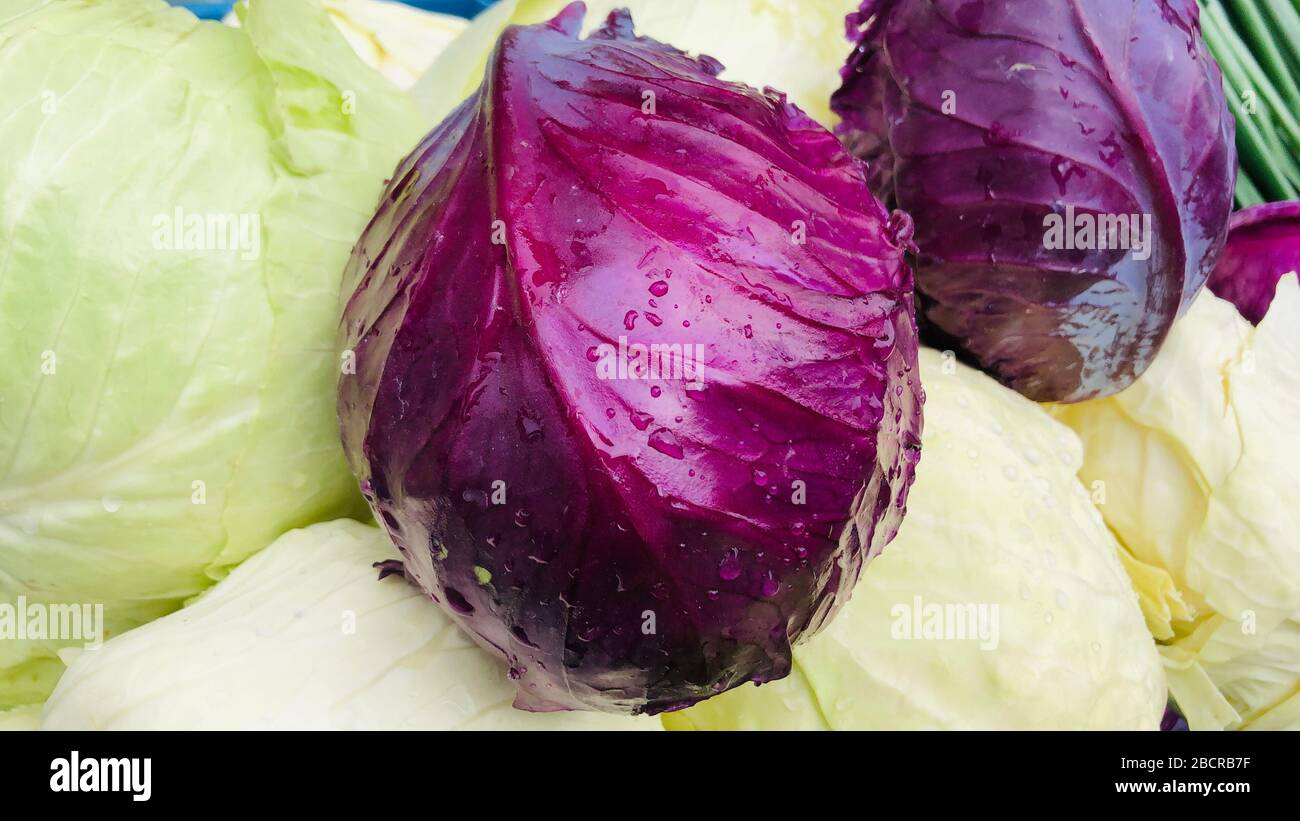Group of red and white cabbages in a supermarket, Cabbage background ...