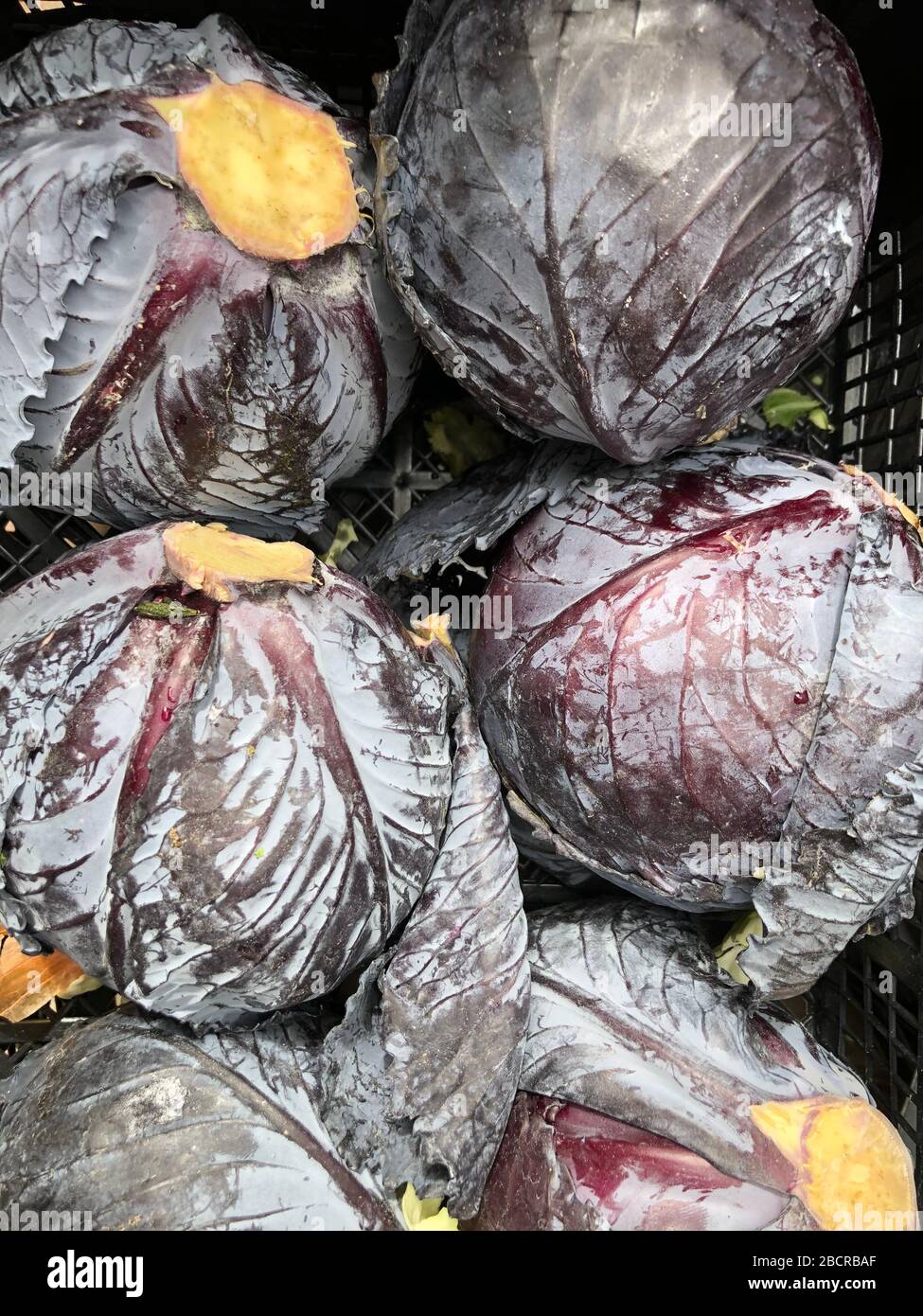 Group of red cabbages in a supermarket, Cabbage background Stock Photo ...