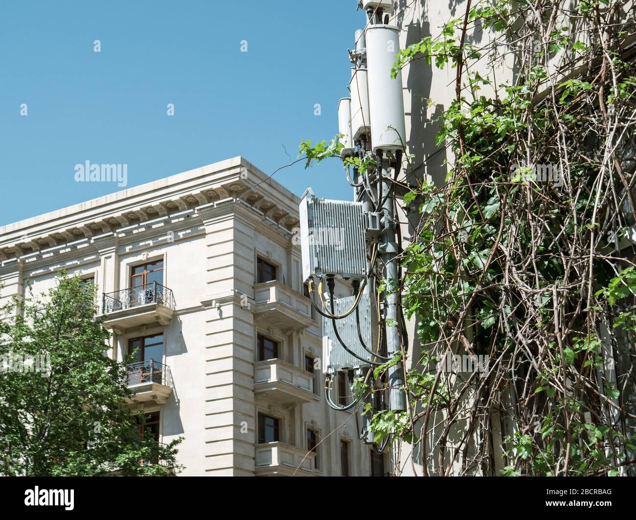 Multiple GSM LTE radio antenna communication tower covered with vine ...