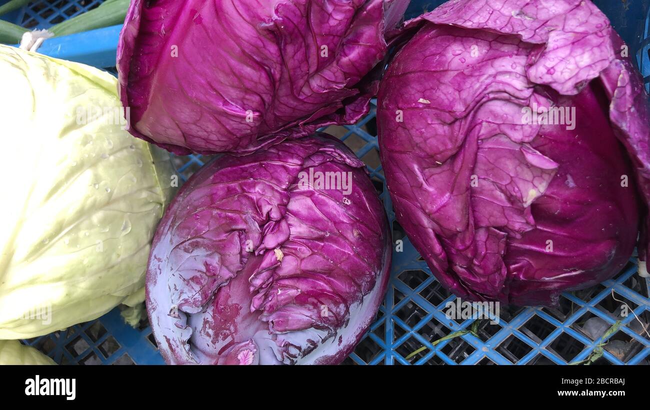 Group of red and white cabbages in a supermarket, Cabbage background ...