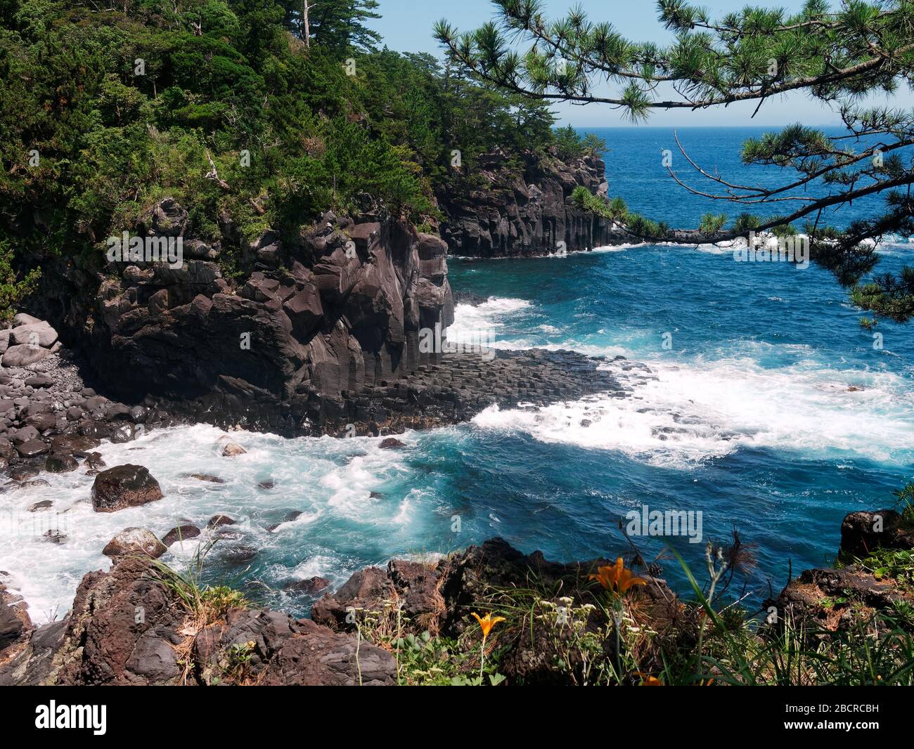 View of wild rocky cliffs with columnar joints and pine trees. Waves of ...
