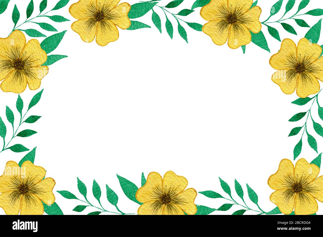 Yellow Spring Flowers Border Spring Flower Grass Yellow Flowers Leaves