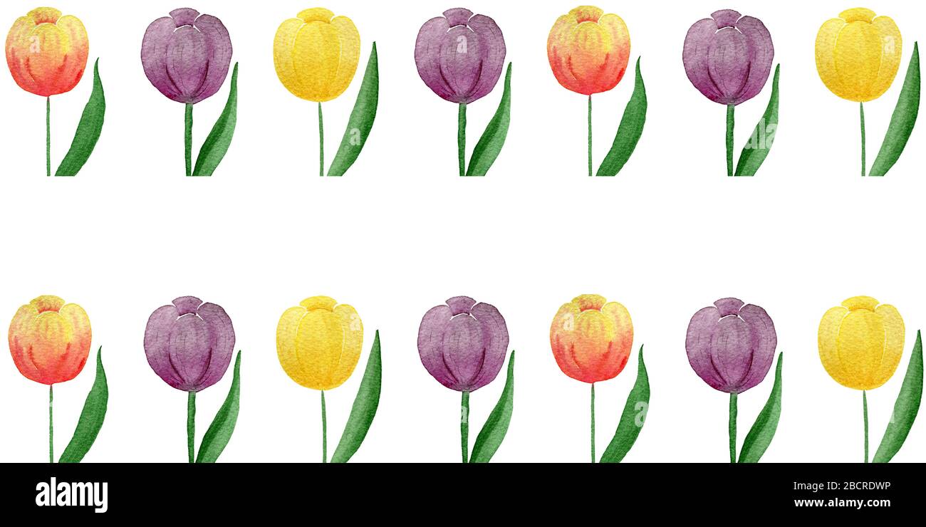border design with colorful watercolor tulips and copy space, mothers ...