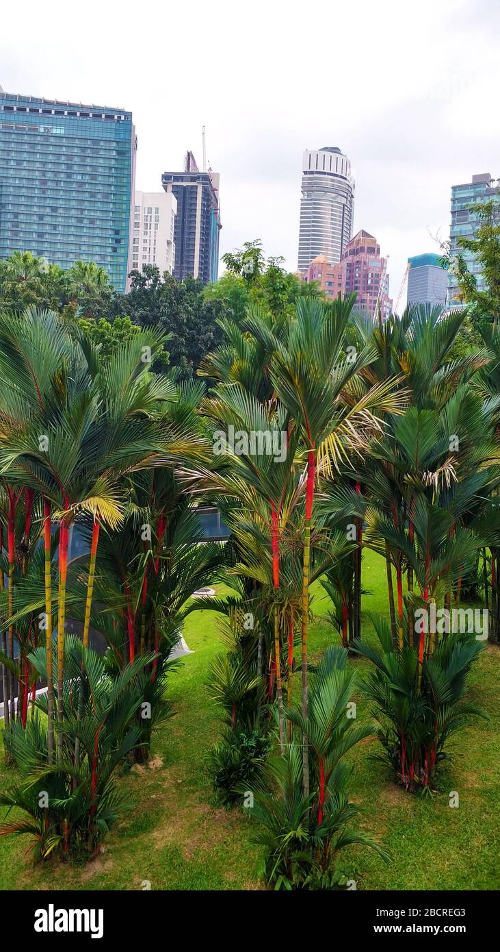 Cityscape of Kuala Lumpur. Beautiful modern developing city of Malaysia ...