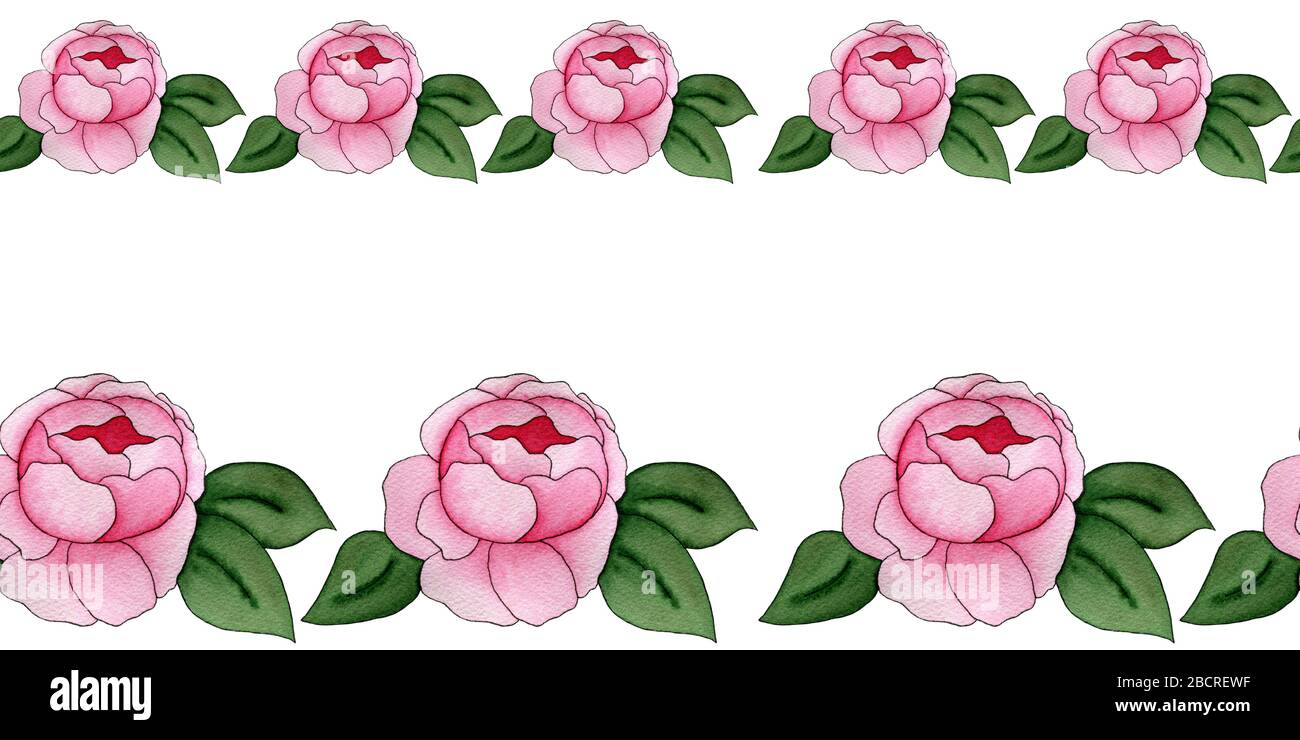 decorative seamless border with pink peony flower, hand drawn floral ...