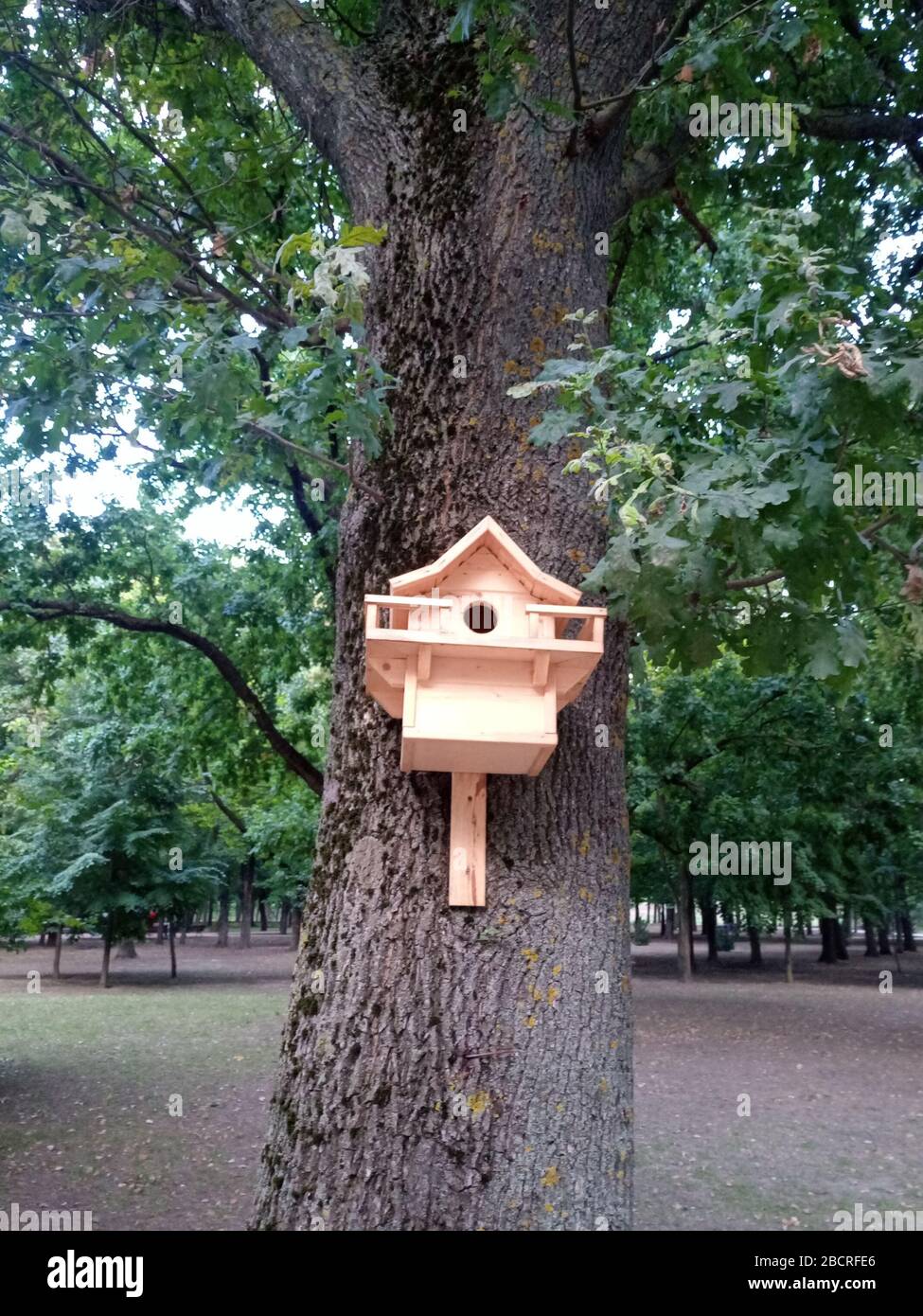 Beautiful birdhouse on a tree. Birdhouse in the park Stock Photo - Alamy