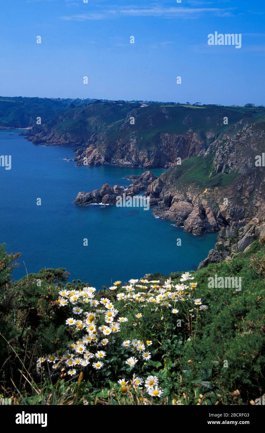 Guernsey channel island hi-res stock photography and images - Alamy