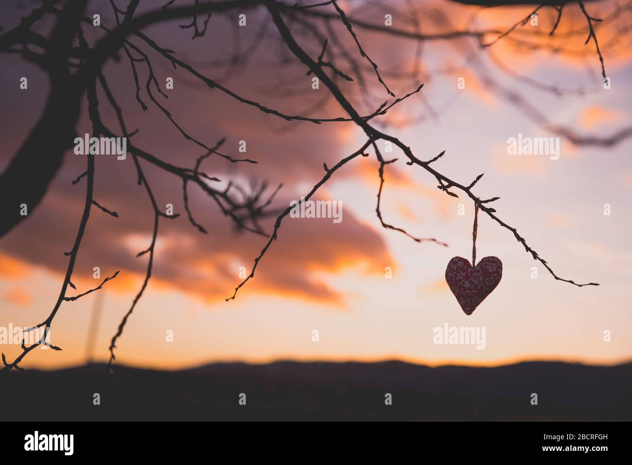 Colorful small lovely heart in evening nature Stock Photo - Alamy