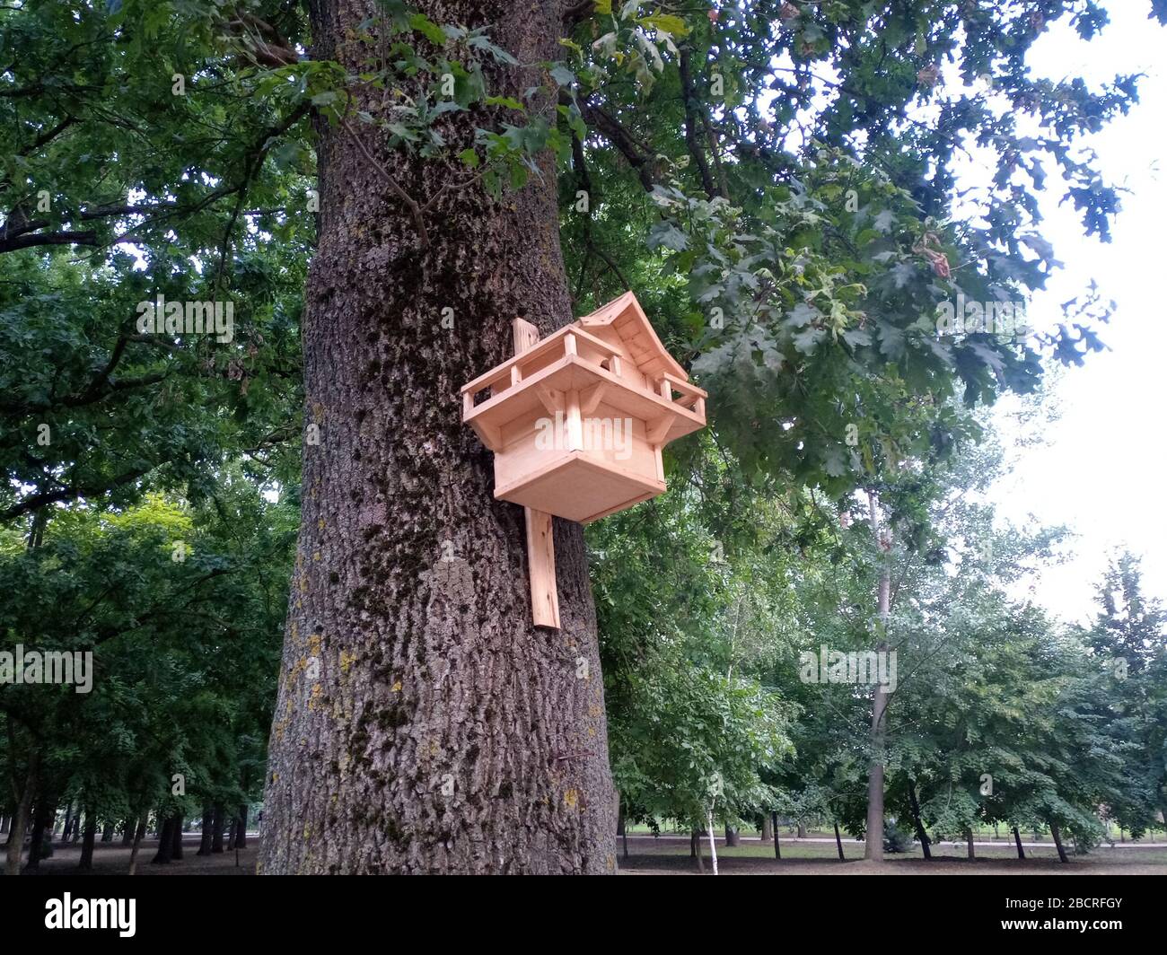Beautiful birdhouse on a tree. Birdhouse in the park Stock Photo - Alamy