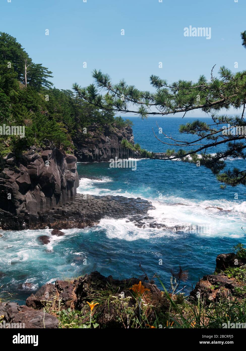 View of wild rocky cliffs with columnar joints and pine trees. Waves of ...