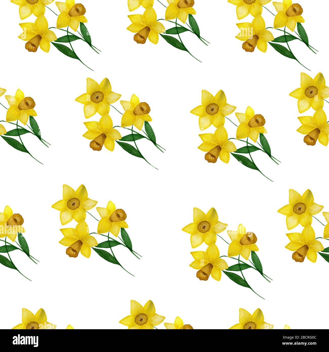 Daffodil Pattern