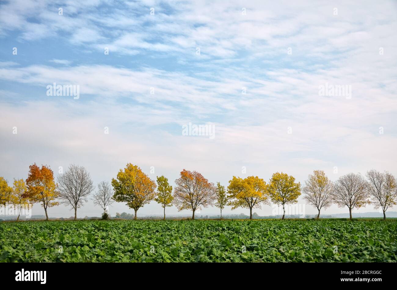 September nature hi-res stock photography and images - Alamy