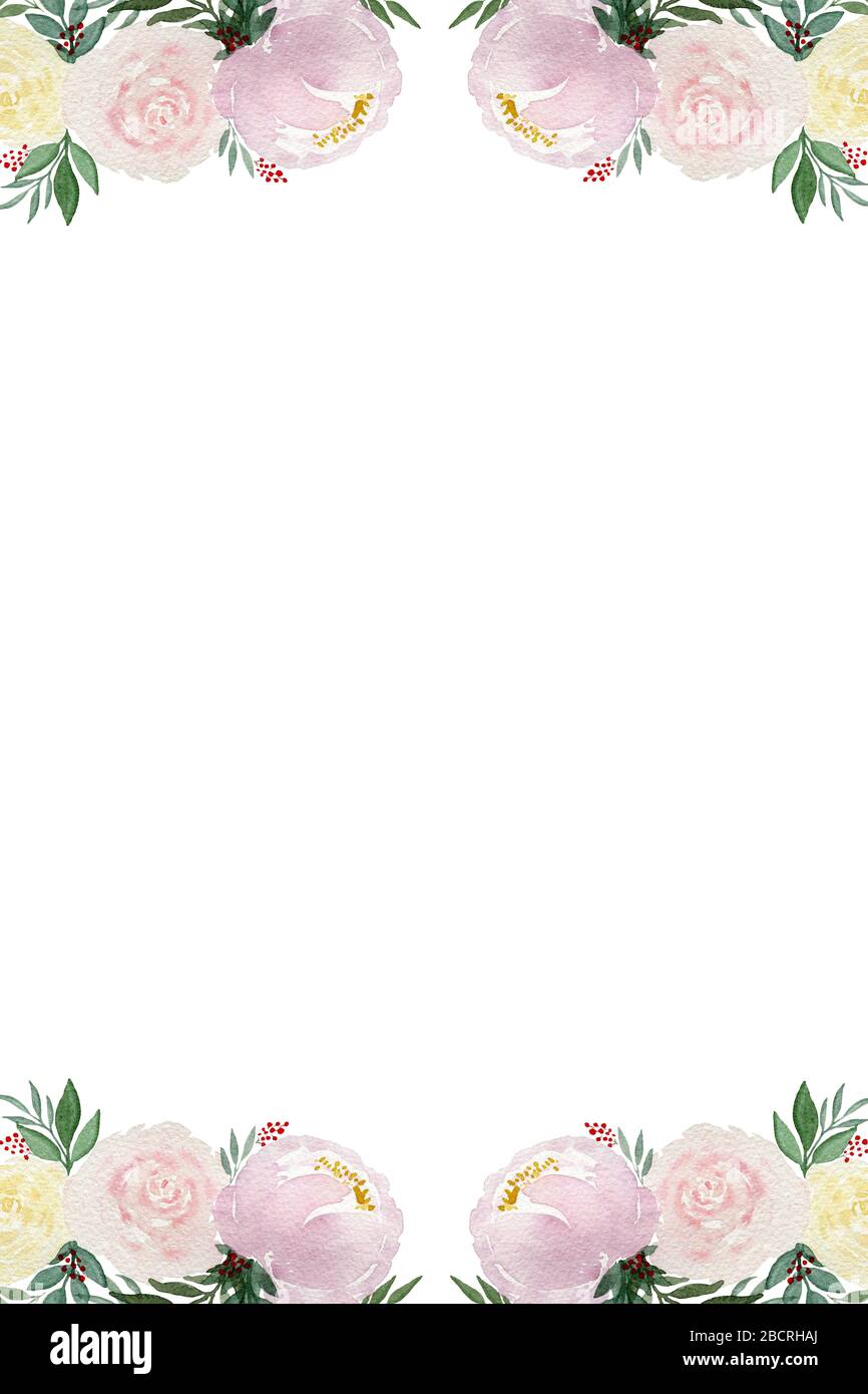 floral frame with roses and peony flowers in pastel pink purple and ...