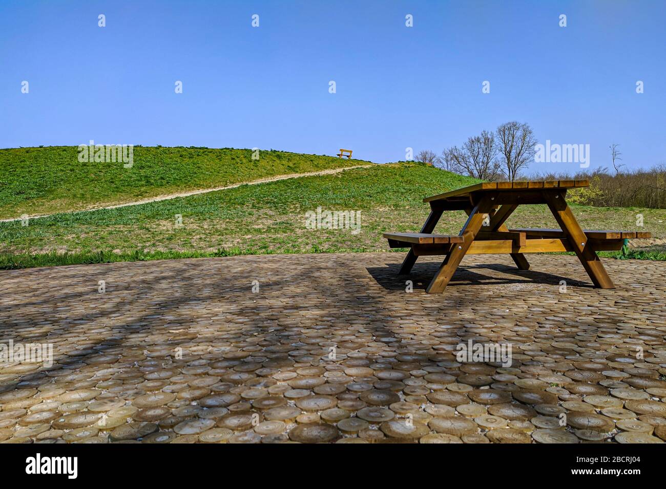 Picnic table in a park with wood pavement Stock Photo - Alamy