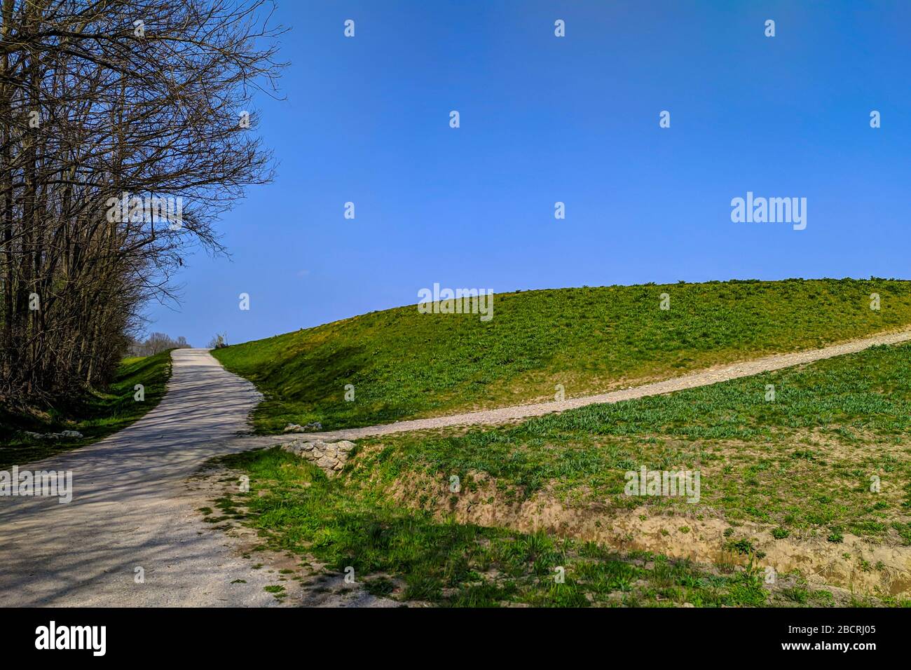 Green alleyway with wood hi-res stock photography and images - Alamy