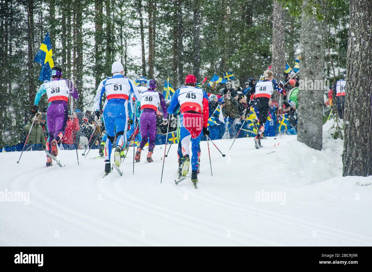Nordic ski race, professional cross country competition. Fans on ...