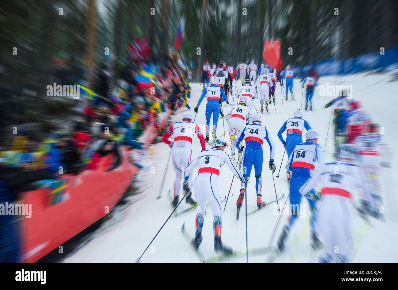 Nordic ski race, professional cross country competition. Fans on ...