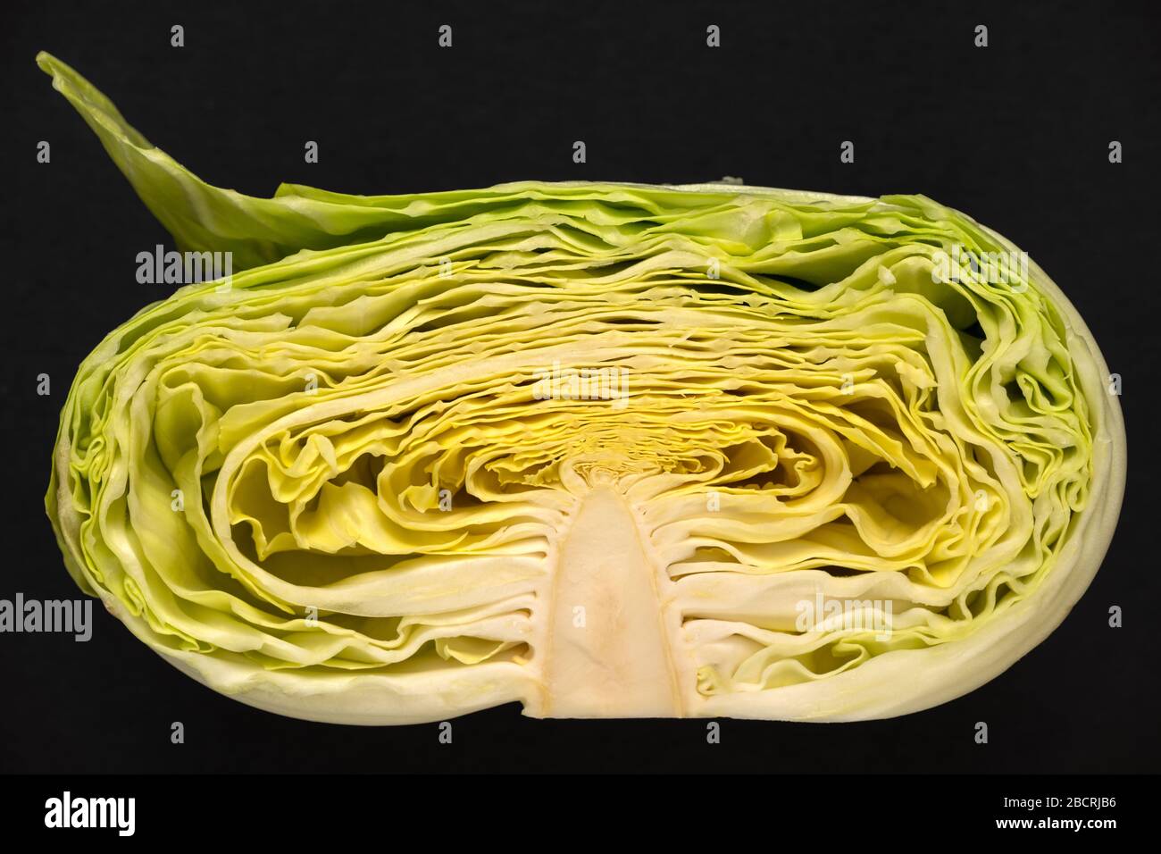 Cabbage cross section hi-res stock photography and images - Alamy