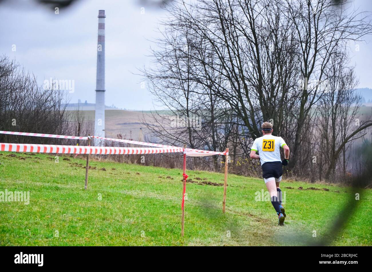 Group of professional cross country athletes running in competition in ...