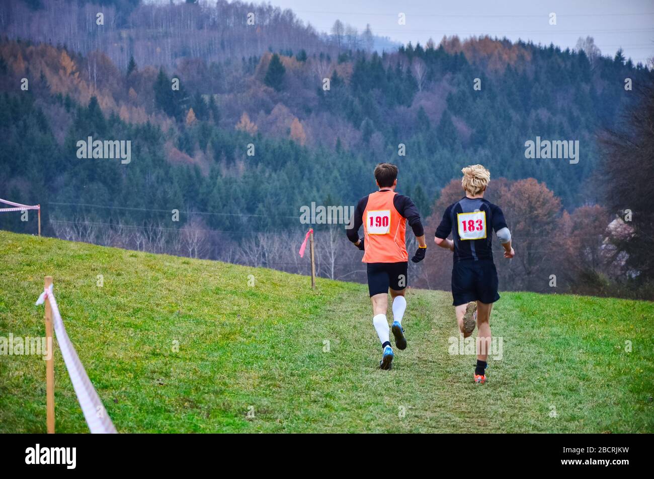 Orienteering team hi-res stock photography and images - Alamy