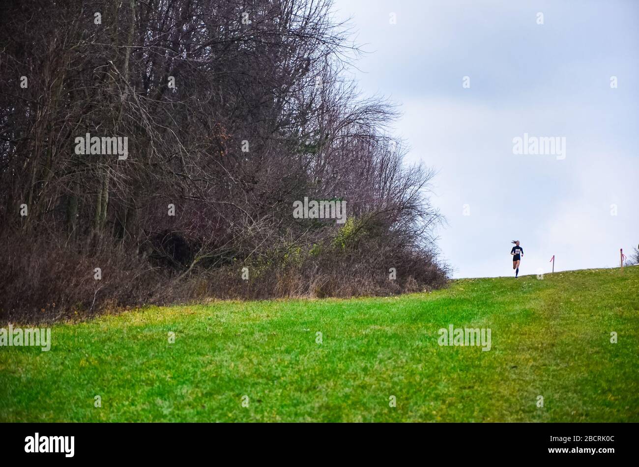Group of professional cross country athletes running in competition in ...