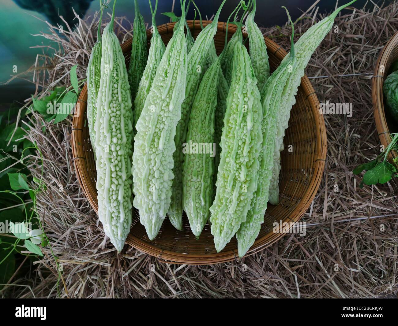 Closeup view bitter gourd hi-res stock photography and images - Alamy