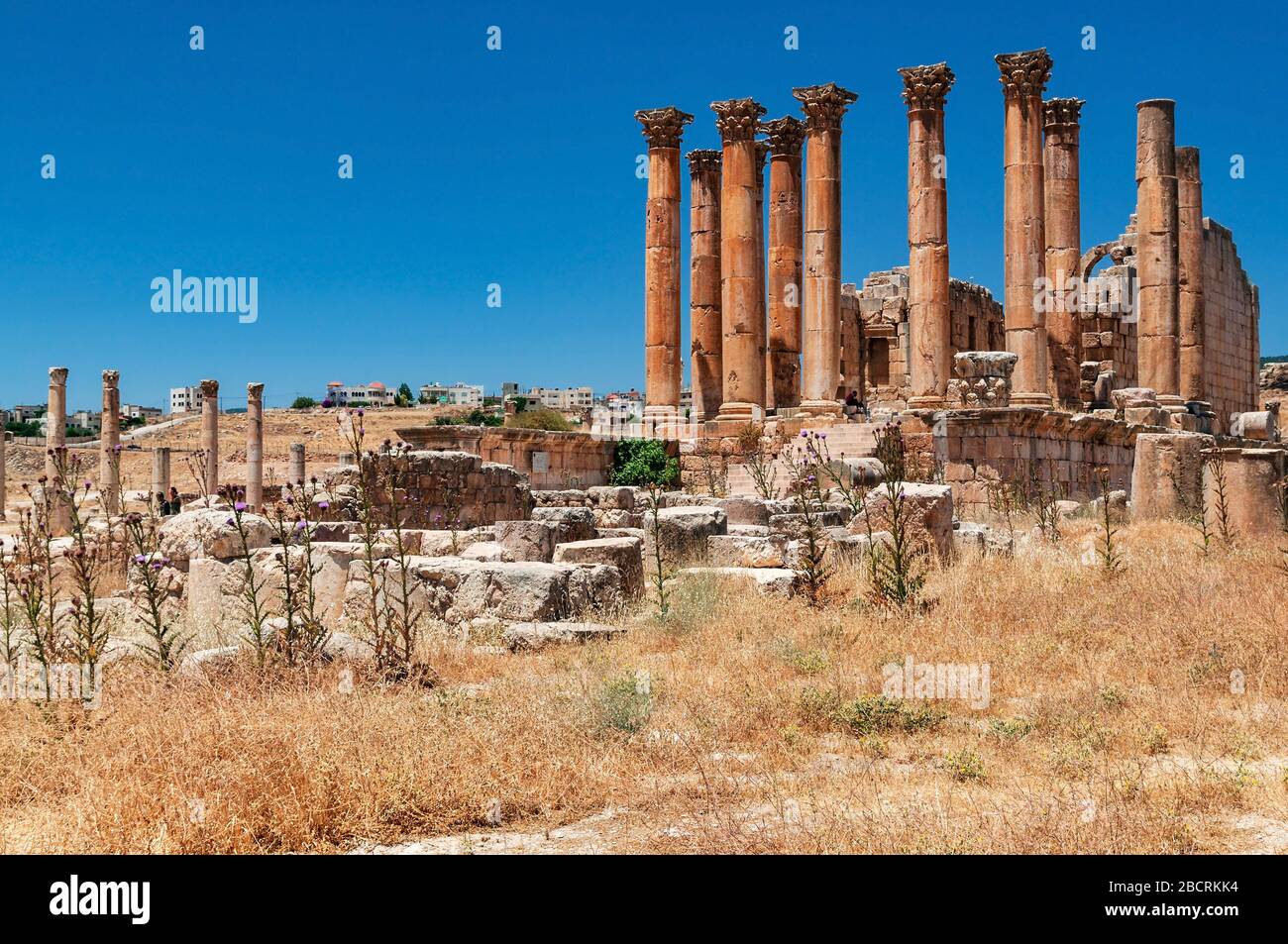 temple of jupiter at jerash, jordan Stock Photo - Alamy