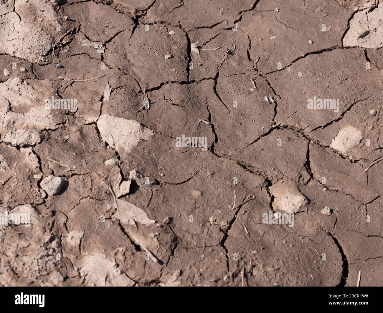 Drought drought ground in Germany Stock Photo - Alamy