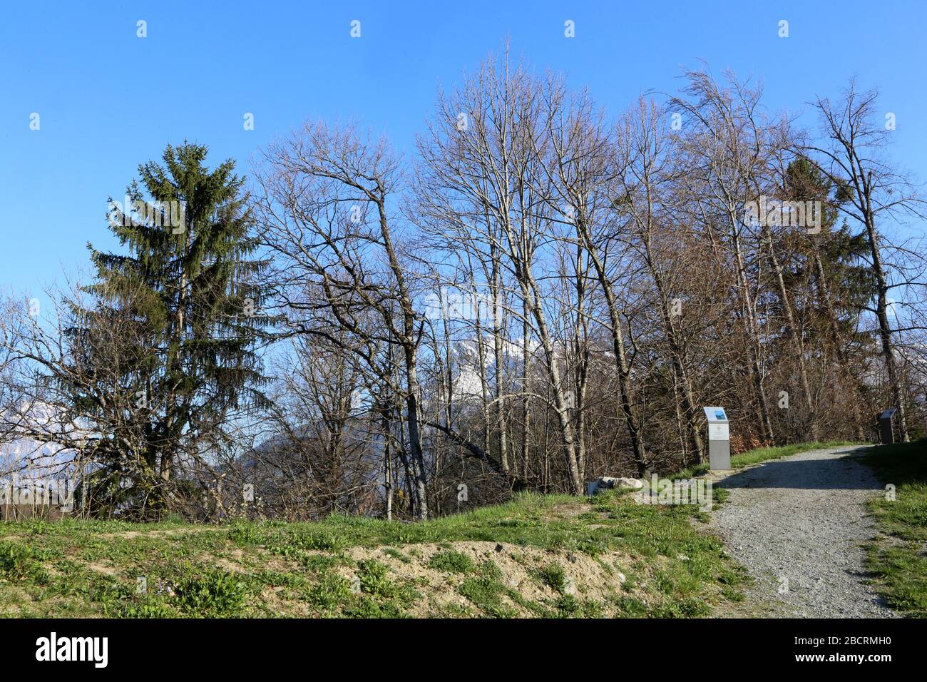 Chemin en forêt hi-res stock photography and images - Alamy