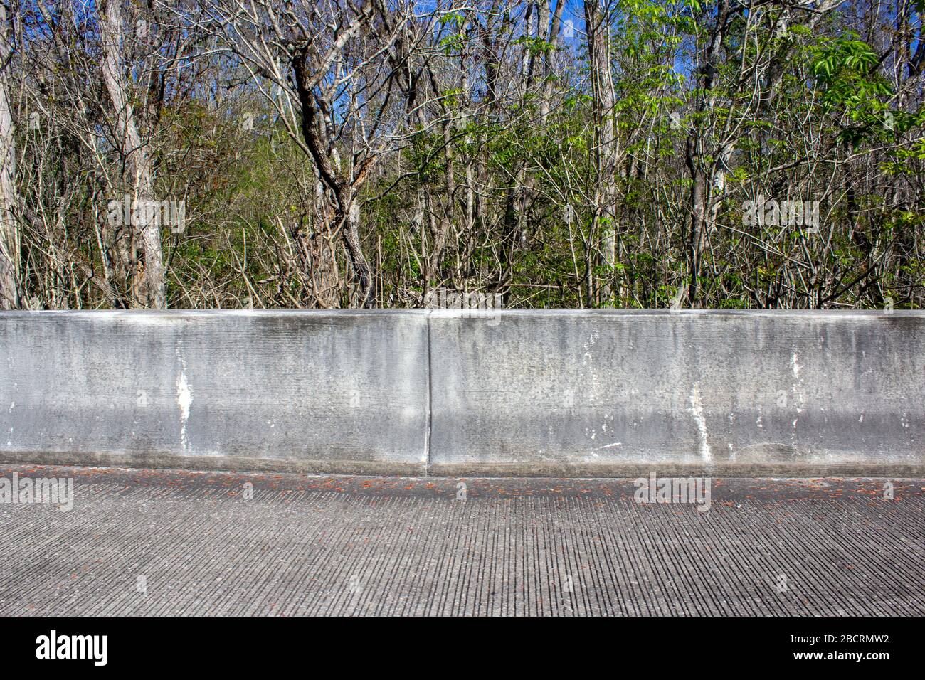 a cement barrier on a united states highway dividing the trees from the ...