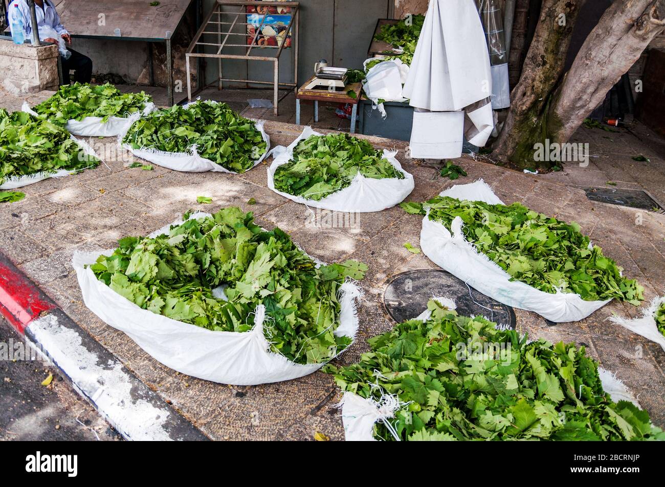 market place in nazareth with vine leaves, israel Stock Photo - Alamy