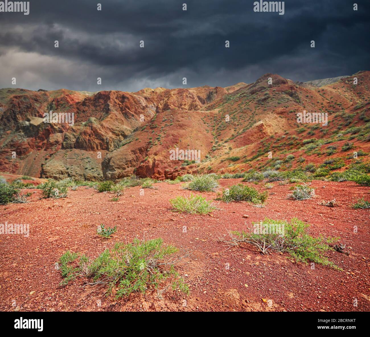 Landscape of plants in red desert with mountains and overcast sky ...