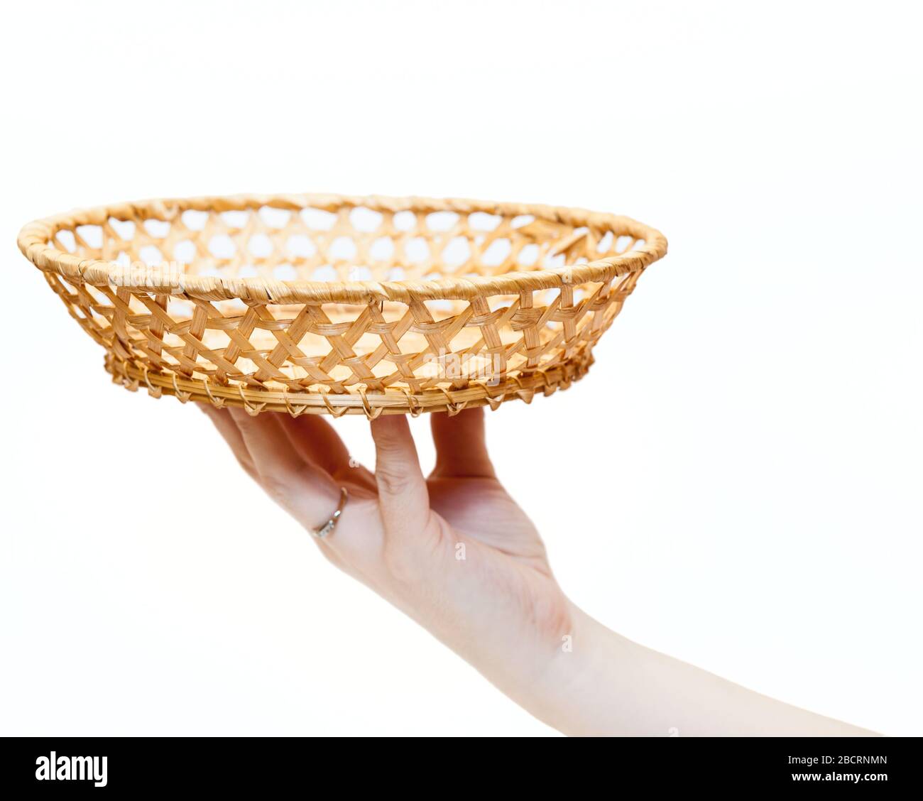 Closeup on small birch Cut Out Stock Images & Pictures - Alamy