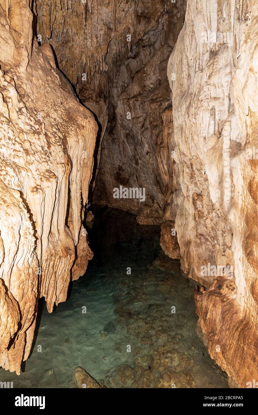 Cenote tree hi-res stock photography and images - Alamy