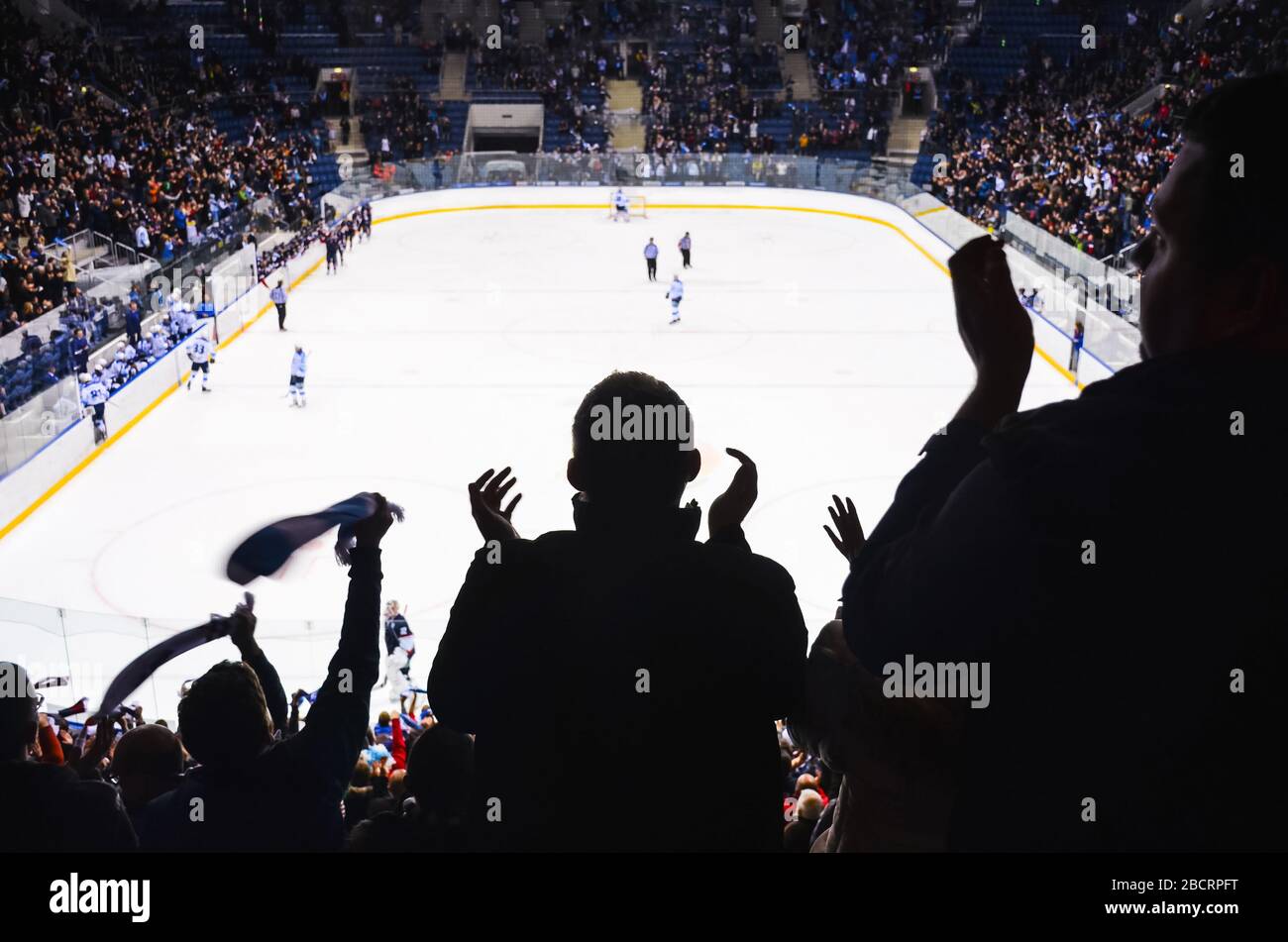 Hockey fan standing and applause on the stadium in after goal - sport ...