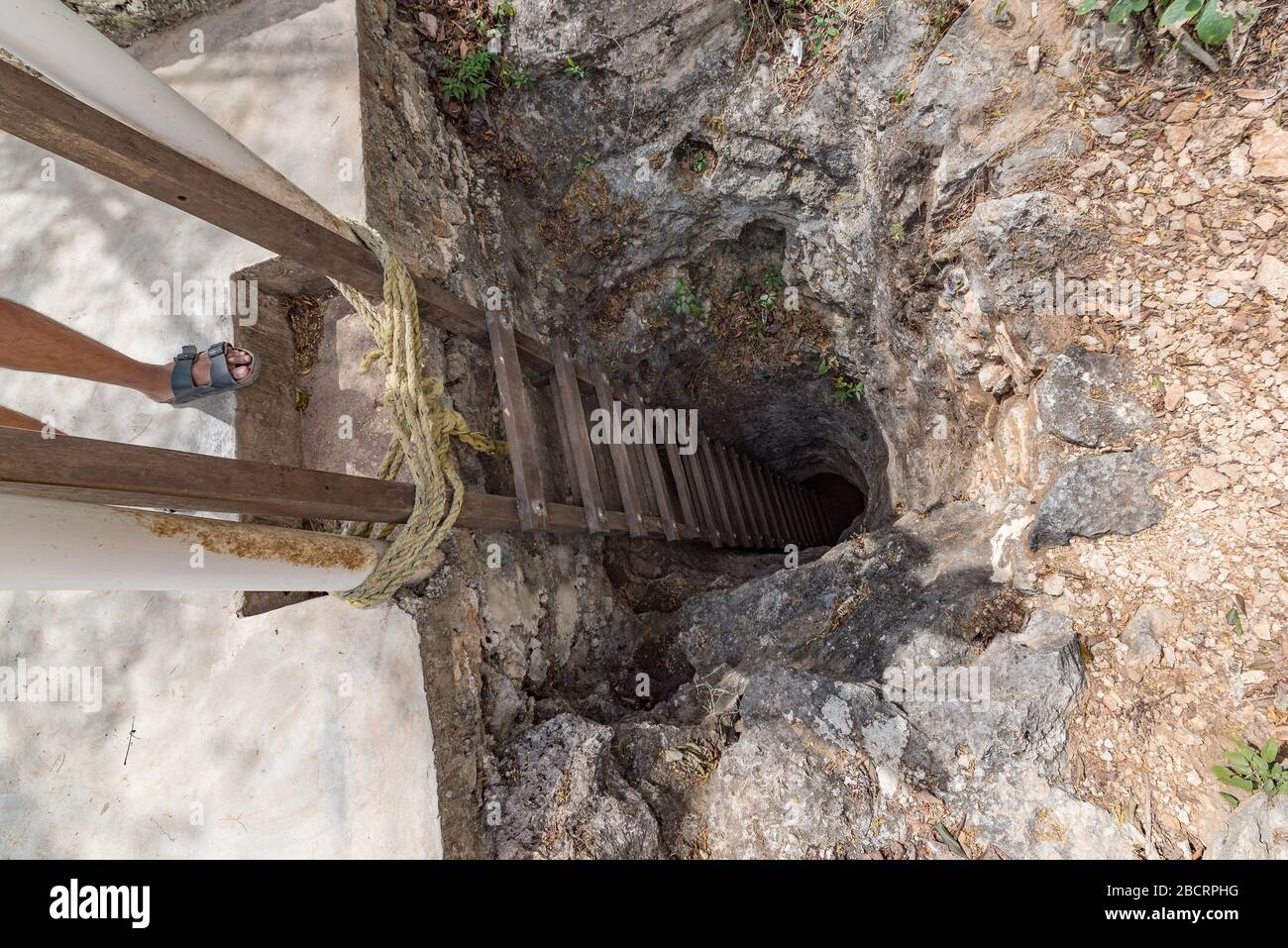 Horse ladder hi-res stock photography and images - Alamy