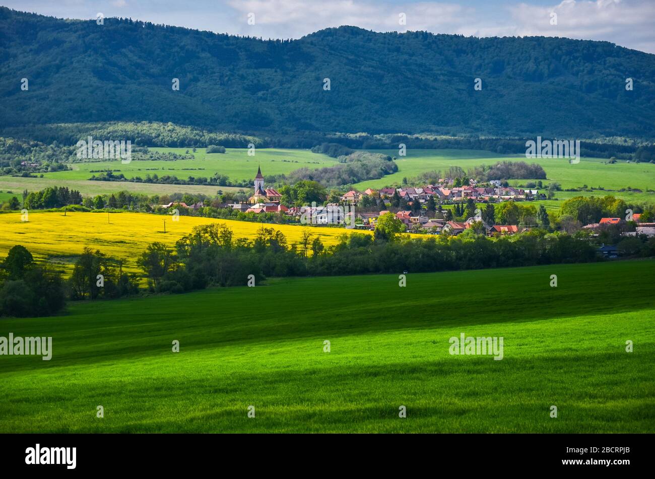 Agricultural spring colza and wheat field over village - rural scenery ...