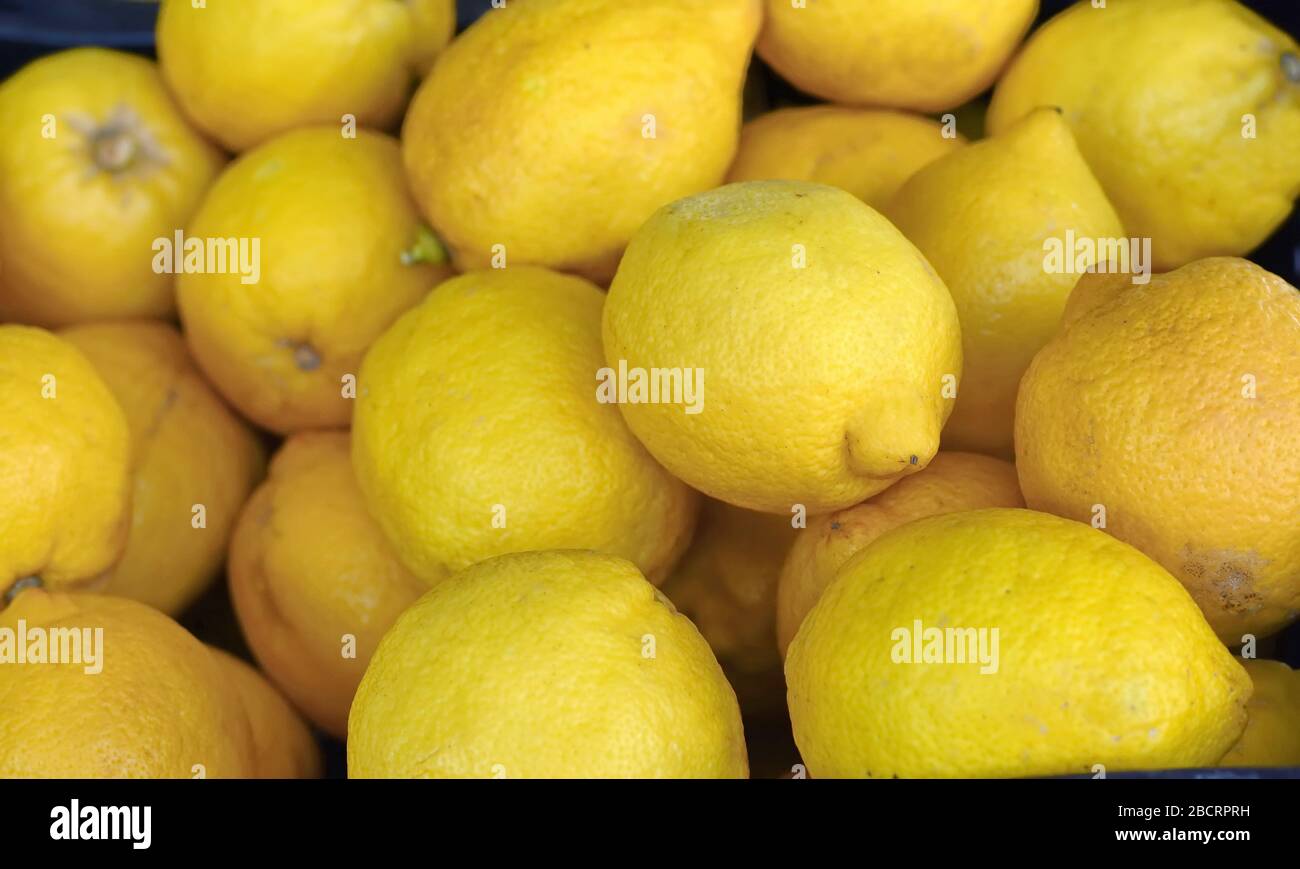 Fresh lemon on the markets Stock Photo - Alamy