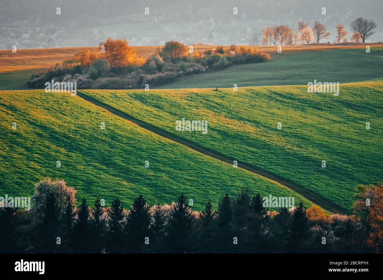 spring over village - church and houses - rural scenery - nature with ...
